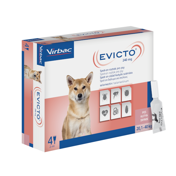 EVICTO® Spot-On macskák és kutyák számára